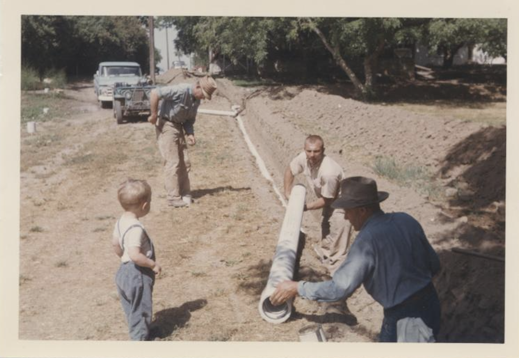 Walnut Farming – California Walnuts and Walnut Processing