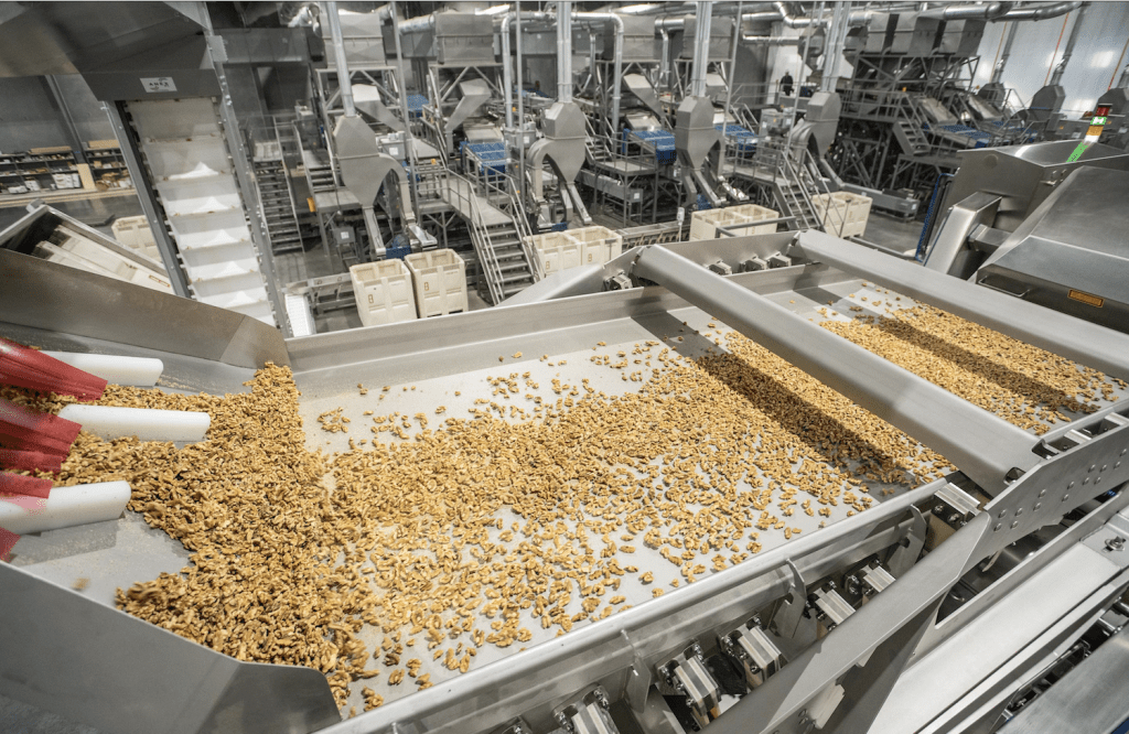 Walnut Farming – California Walnuts and Walnut Processing