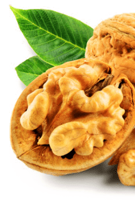 California Walnuts and Walnut Processing – California Walnuts and ...